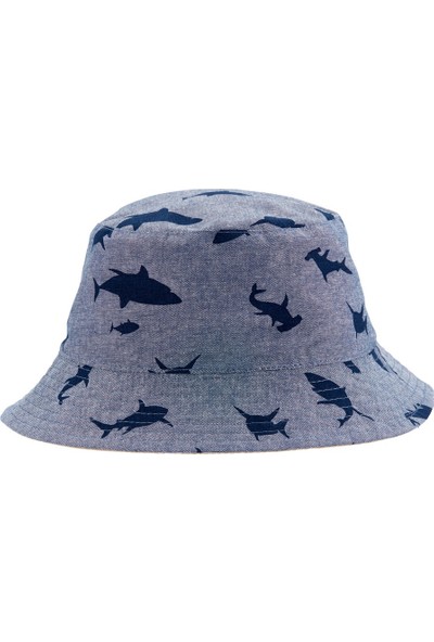 Carter's Carters Küçük Erkek Çocuk Şapka 2K454010
