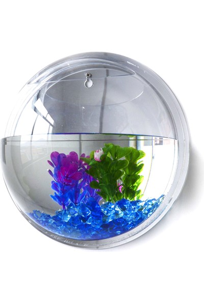 Buyfun Duvara Montaj Akvaryum (Yurt Dışından)