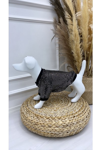 By Pablo Siyah Pullu Köpek Kıyafeti