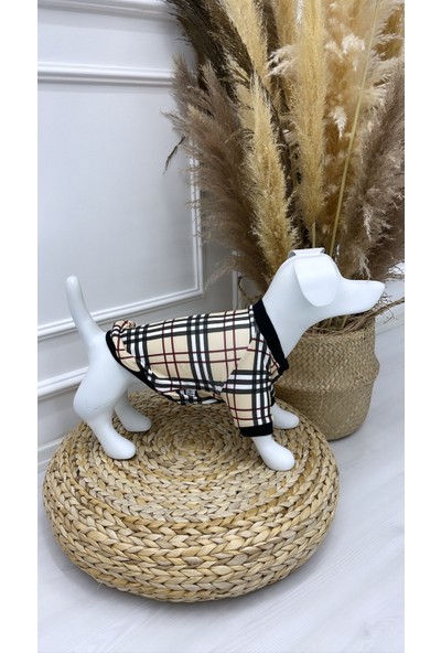 By Pablo Kahverengi Çizgili Köpek Kıyafeti By Pablo Kahverengi Çizgili Köpek Kıyafeti