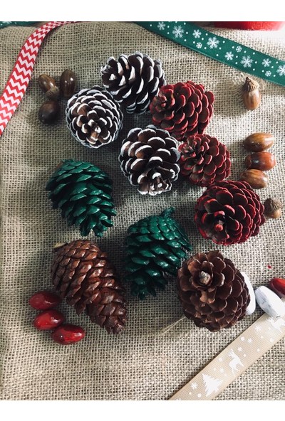 Merisas Yılbaşı Konseptli Boyanmış 10'lu Dekoratif Kozalak&dekor Kozalakları&sunum Kozalakları