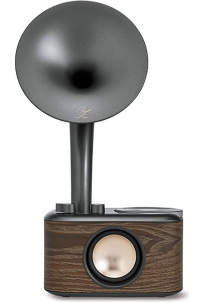 Gzplz Bluetooth Hoparlör Siyah (Yurt Dışından)