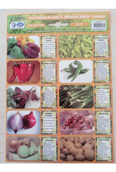 Livan Livan Sticker Sebzeler Tanıtım Seti
