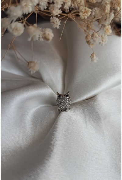 Bebenis Baykuş Piercing Gümüş Bebenis Baykuş Piercing Gümüş