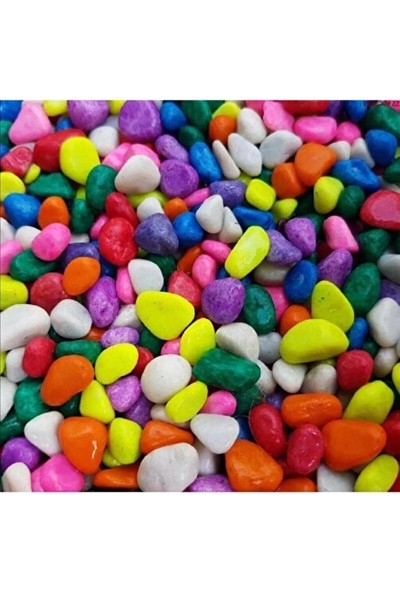 Akvaryum Teraryum Fanus Süsleme Bahçe Süs Dekor Renkli Çakıl Taşı 2 kg Akvaryum Teraryum Fanus Süsleme Bahçe Süs Dekor Renkli Çakıl Taşı 2 kg