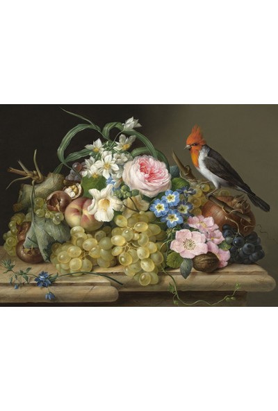 Nova Puzzle Nova 1000 Parça Çiçek Meyve ve Kuş Natürmort Puzzle Nova Puzzle Nova 1000 Parça Çiçek Meyve ve Kuş Natürmort Puzzle