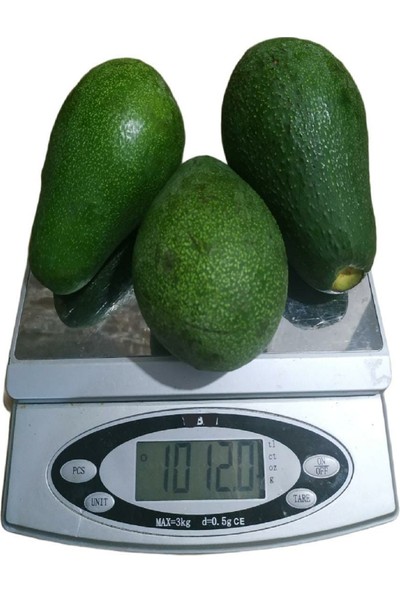 Avokado Alanya'nın Bahçelerinden Yerli