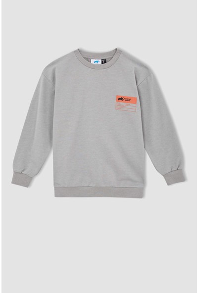 DeFacto Erkek Çocuk Animal Planet Lisanslı Relax Fit Bisiklet Yaka Sırt Baskılı Sweatshirt W1259A621WN DeFacto Erkek Çocuk Animal Planet Lisanslı Relax Fit Bisiklet Yaka Sırt Baskılı Sweatshirt W1259A621WN
