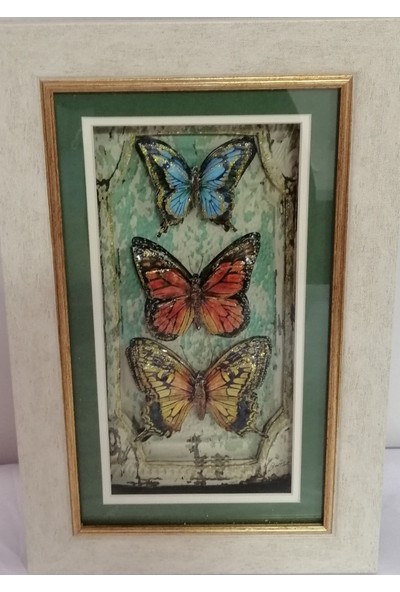 Elvaneli 3 Boyutlu Kelebek Rölyef Sanatı