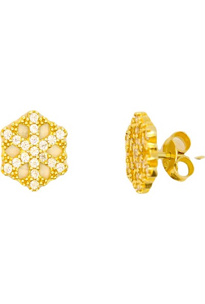 Cigold Taşlı 14 Ayar Altın Küpe 1.61 gr K101026906