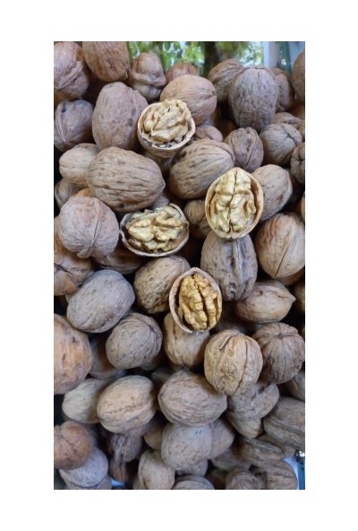 Kabuklu Yerli Ceviz 500 gr Kabuklu Yerli Ceviz 500 gr