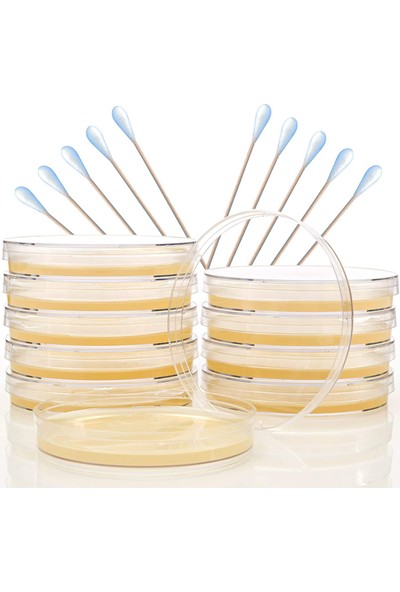 Okul Store Agarlı Hazır Besiyeri ve Eküvyon Çubukları Okul Store Agarlı Hazır Besiyeri ve Eküvyon Çubukları