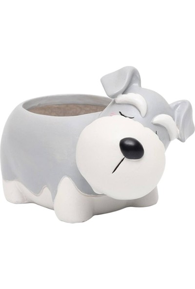 Homyl Etli Ekici Tencere Küçük Kaktüs Kutusu Çiçek Mini Bitkiler Masa Dekor Schnauzer (Yurt Dışından) Homyl Etli Ekici Tencere Küçük Kaktüs Kutusu Çiçek Mini Bitkiler Masa Dekor Schnauzer (Yurt Dışından)