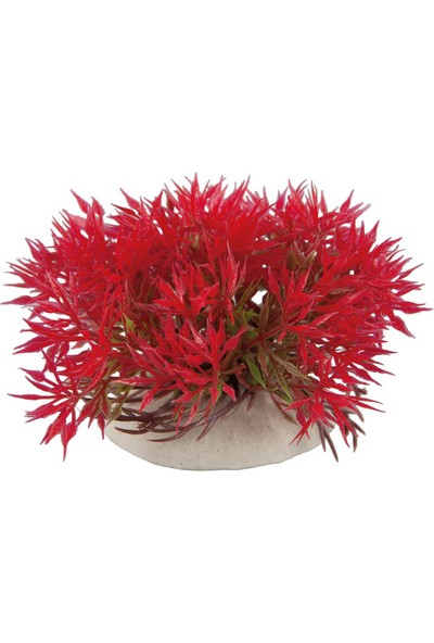 Oripet B28071 Akvaryum Plastik Bitki Kırmızı 5-6 cm Oripet B28071 Akvaryum Plastik Bitki Kırmızı 5-6 cm