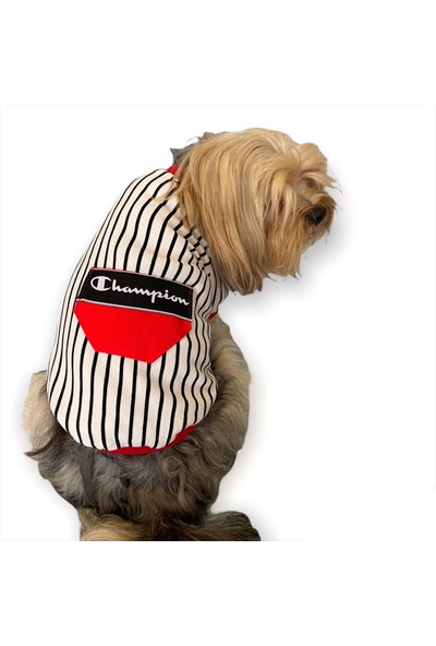 Champion Oval Yaka Tişört Köpek Kıyafeti M Champion Oval Yaka Tişört Köpek Kıyafeti M
