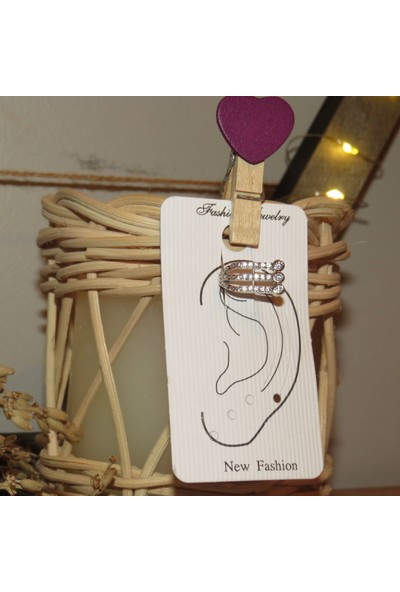 AE Olmens Zirkon Taş Kıkırdak Çelik Silver Küpe