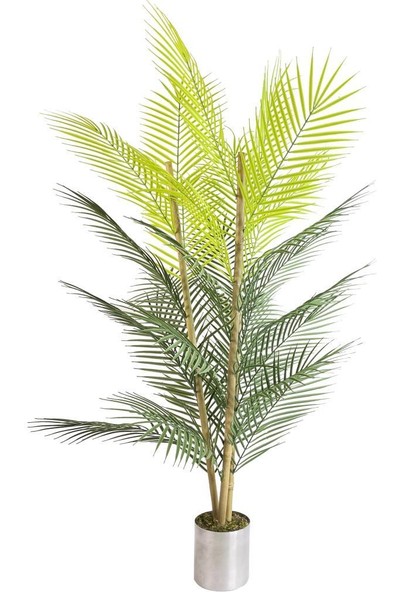 Nettenevime Yapa Areka Ağacı 27 Yaprak 115 cm Nettenevime Yapa Areka Ağacı 27 Yaprak 115 cm