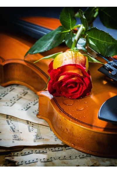 Nova Puzzle Müzik, Aşk ve Hüzün 1000 Parça Puzzle Nova Puzzle Müzik, Aşk ve Hüzün 1000 Parça Puzzle