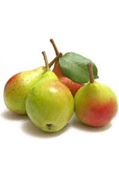 Sebze Meyve Dünyası Armut Jumbiti kg
