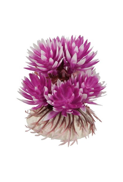 Oripet Akvaryum Plastik Bitki 7 cm