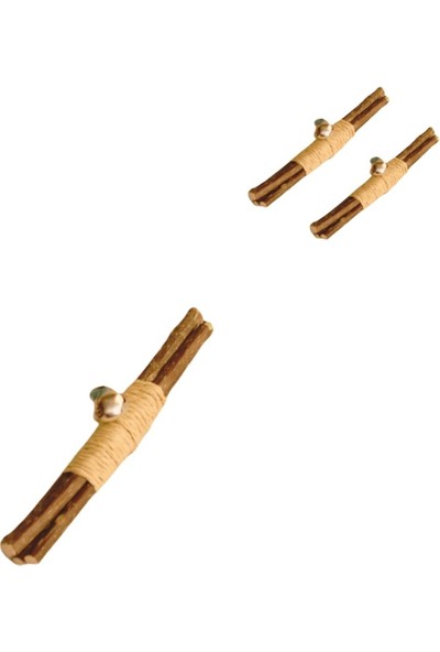 Petty Pett Matatabell Bright Orange Doğal Kedi Diş Bakımı,kedi Oyuncağı Petty Pett Matatabell Bright Orange Doğal Kedi Diş Bakımı,kedi Oyuncağı