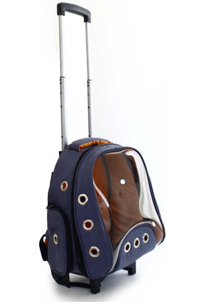 Bavul Şeklinde Kedi Köpek Taşıma Çantası