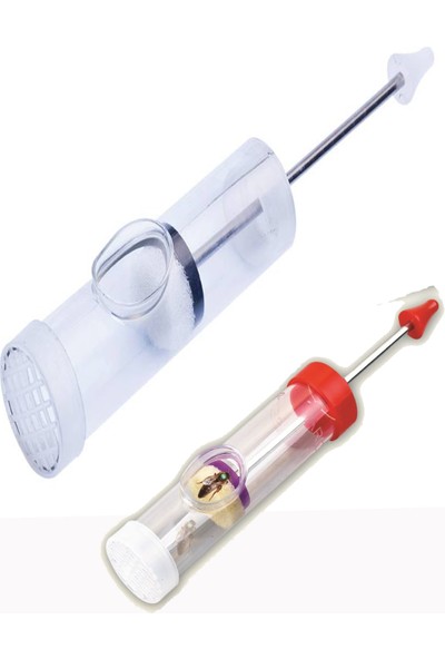 Ana Arı Işaretleme Tüpü