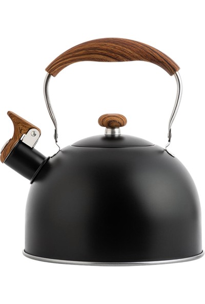 Baosity 2.5l Büyük Kapasiteli Su Isıtıcısı Çay Demliği - Siyah (Yurt Dışından)