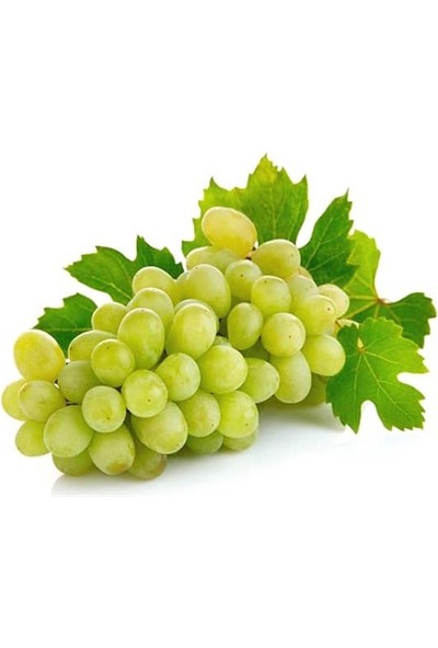 Sebze Meyve Dünyası Üzüm Tarsus 1 kg Sebze Meyve Dünyası Üzüm Tarsus 1 kg