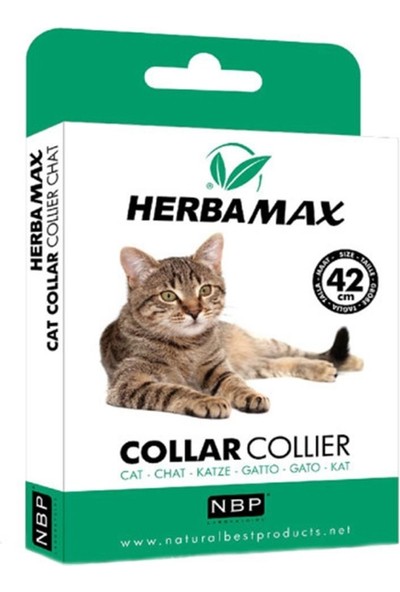 Hilays Pire Dış Parazit Kene Tasması - 42 cm