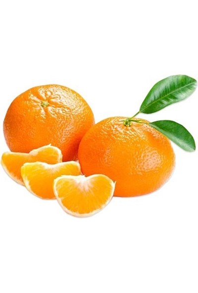 Sebze Meyve Dünyası Mandalina Murkot 1 kg