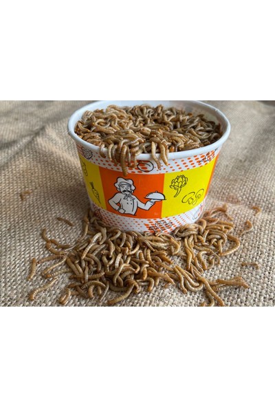 Hanımeli Pet Store Unkurdu Başlangıç Seti (100GR + Cımbız + Yataklık) Hanımeli Pet Store Unkurdu Başlangıç Seti (100GR + Cımbız + Yataklık)