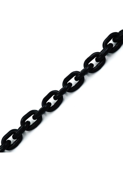 Force Chain Dın En 818-2 8X24 mm 2 Mtr Siyah Boyalı Zincir Force Chain Dın En 818-2 8X24 mm 2 Mtr Siyah Boyalı Zincir