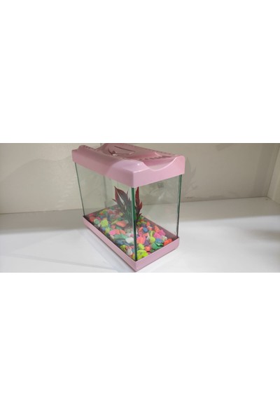 Ertargın Shop Küçük Akvaryum Aksesuarlı 20 cm 4 Litre Pembe Ertargın Shop Küçük Akvaryum Aksesuarlı 20 cm 4 Litre Pembe