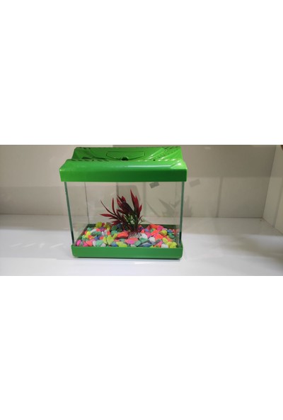 Ertargın Shop Küçük Akvaryum Aksesuarlı 20 cm 4 Litre Yeşil