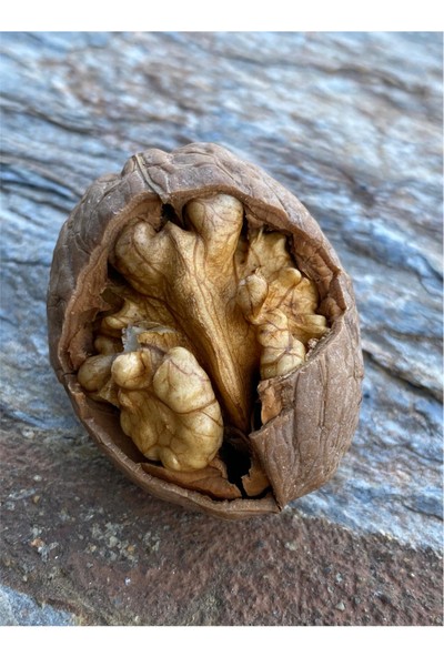 Doğan Çiftlik Organik Yerli Iç Ceviz - 1 kg - Kelebek