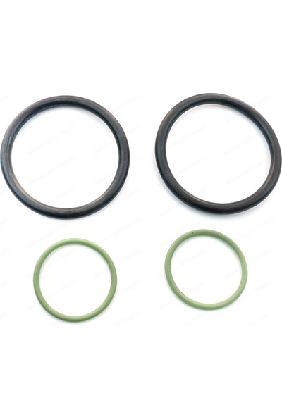 Bross Otomotiv Bmw N40 N42 N45 N46 N62 N73 Motor Için Vanos O-Ring Conta Seti