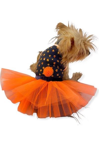 Hearty Tarty Orange Tütülü Köpek Elbisesi, Kıyafeti Tutu