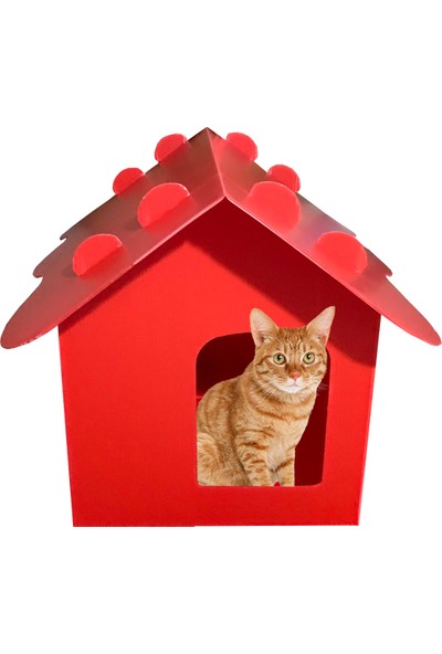 Pati Mama Su Geçirmez Pp Plastik Kedi Evi 45 x 43 x 35 cm Kırmızı