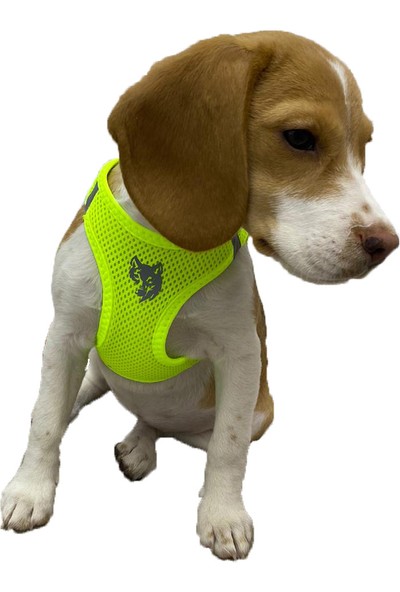 Mitramina Köpek Göğüs Tasması Gezdirme Ipi Neon Yeşil M Mitramina Köpek Göğüs Tasması Gezdirme Ipi Neon Yeşil M