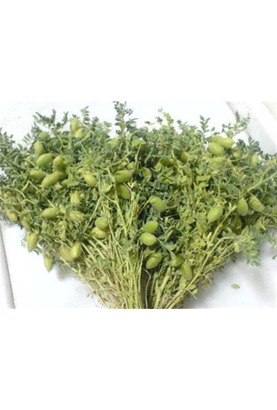 Sebze Meyve Dünyası Taze Nohut (Demet) Sebze Meyve Dünyası Taze Nohut (Demet)