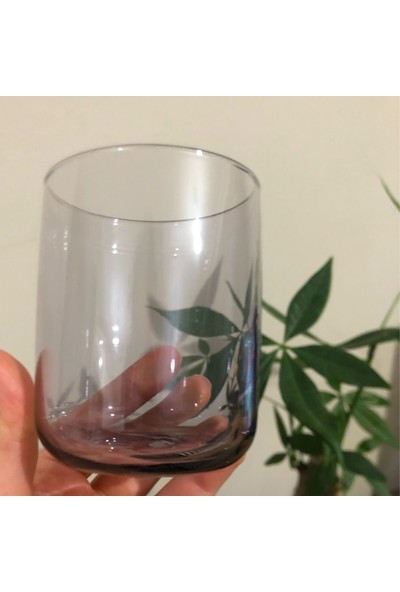 Paşabahçe Iconıc Meşrubat Bardağı Mor 6'lı