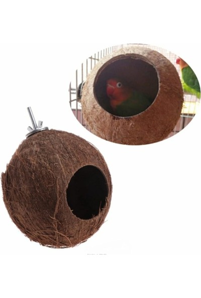 Ahşap Pusula Uniqbirdtoys Hindistan Cevizi Kuş Yuvalığı ( Muhabbet, Finch, Cennet) Ahşap Pusula Uniqbirdtoys Hindistan Cevizi Kuş Yuvalığı ( Muhabbet, Finch, Cennet)