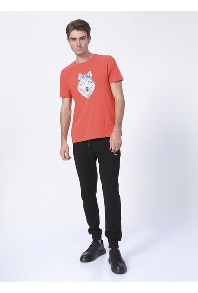 National Geographic Leon Lastikli Standart Kalıp Düz Siyah Erkek Eşofman Altı National Geographic Leon Lastikli Standart Kalıp Düz Siyah Erkek Eşofman Altı