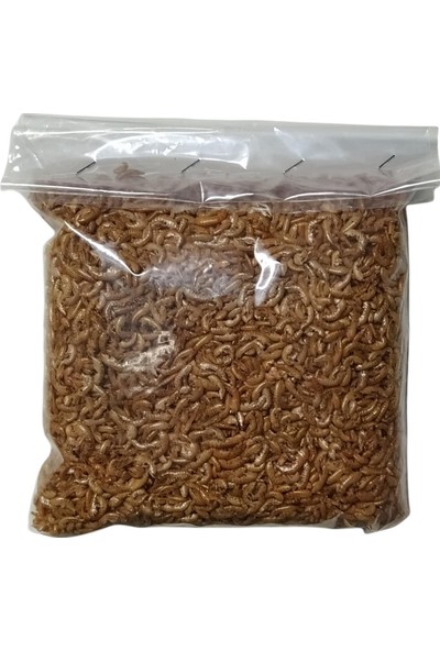 Hanımeli Pet Store Gammarus (Kurutulmuş Karides) Balık ve Kaplumbağa Yemi 25GR Hanımeli Pet Store Gammarus (Kurutulmuş Karides) Balık ve Kaplumbağa Yemi 25GR