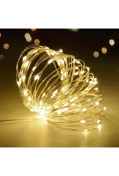Cata Peri LED Süsleme 5 mt Flaşlı CT-8507 Günışığı