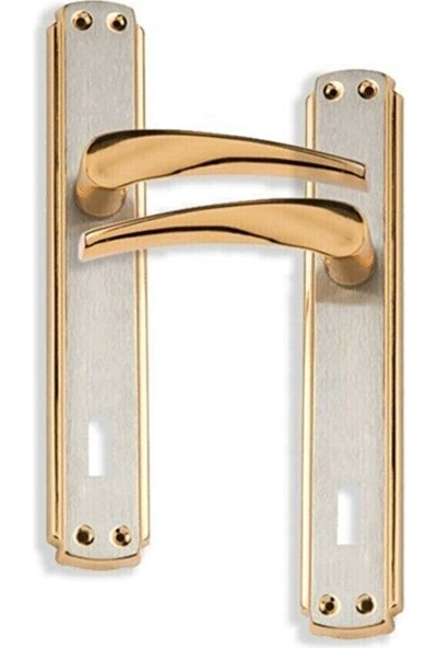 Bravo Albirifin Saten Oda Kapı Kolu