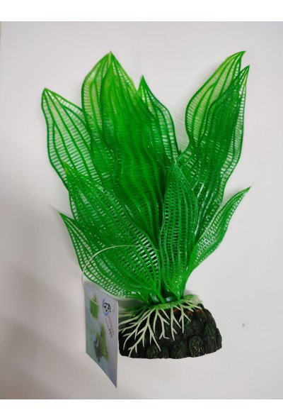 Canlı Petshop Plastik Bitki (Madagascar) Canlı Petshop Plastik Bitki (Madagascar)