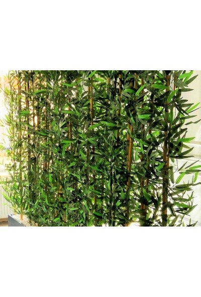 Bambu 1.5 Metre Boyunda Yapay Bambu Ağaci 2 Metre Uzunluğunda Gri̇ Antrasi̇t Saksida Bambular Bambu 1.5 Metre Boyunda Yapay Bambu Ağaci 2 Metre Uzunluğunda Gri̇ Antrasi̇t Saksida Bambular
