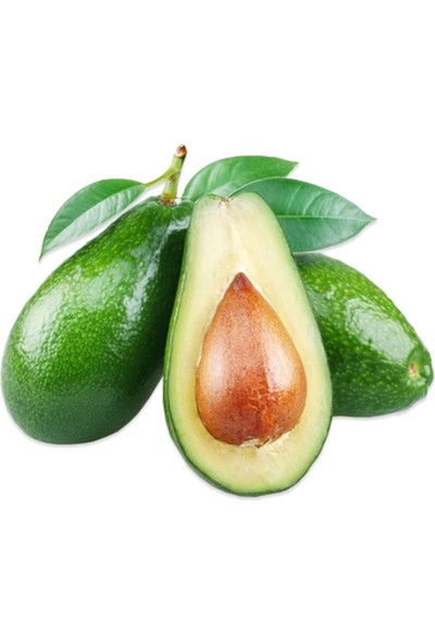 Sebze Meyve Dünyası Avokado